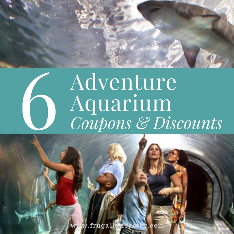 6 Ways To Save On Adventure Aquarium Tickets Frugal Lancaster 6 Ways To Save On Adventure Aquarium Tickets Frugal Lancaster